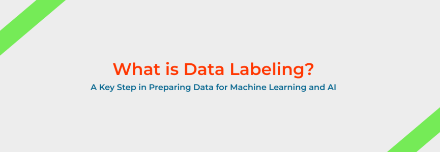 What is Data Labeling? Explained for AI & Machine Learning